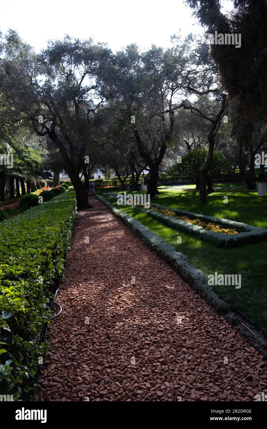 Path in Bahai Gardens on the slopes of Carmel Mountain in Haifa, Israel ...