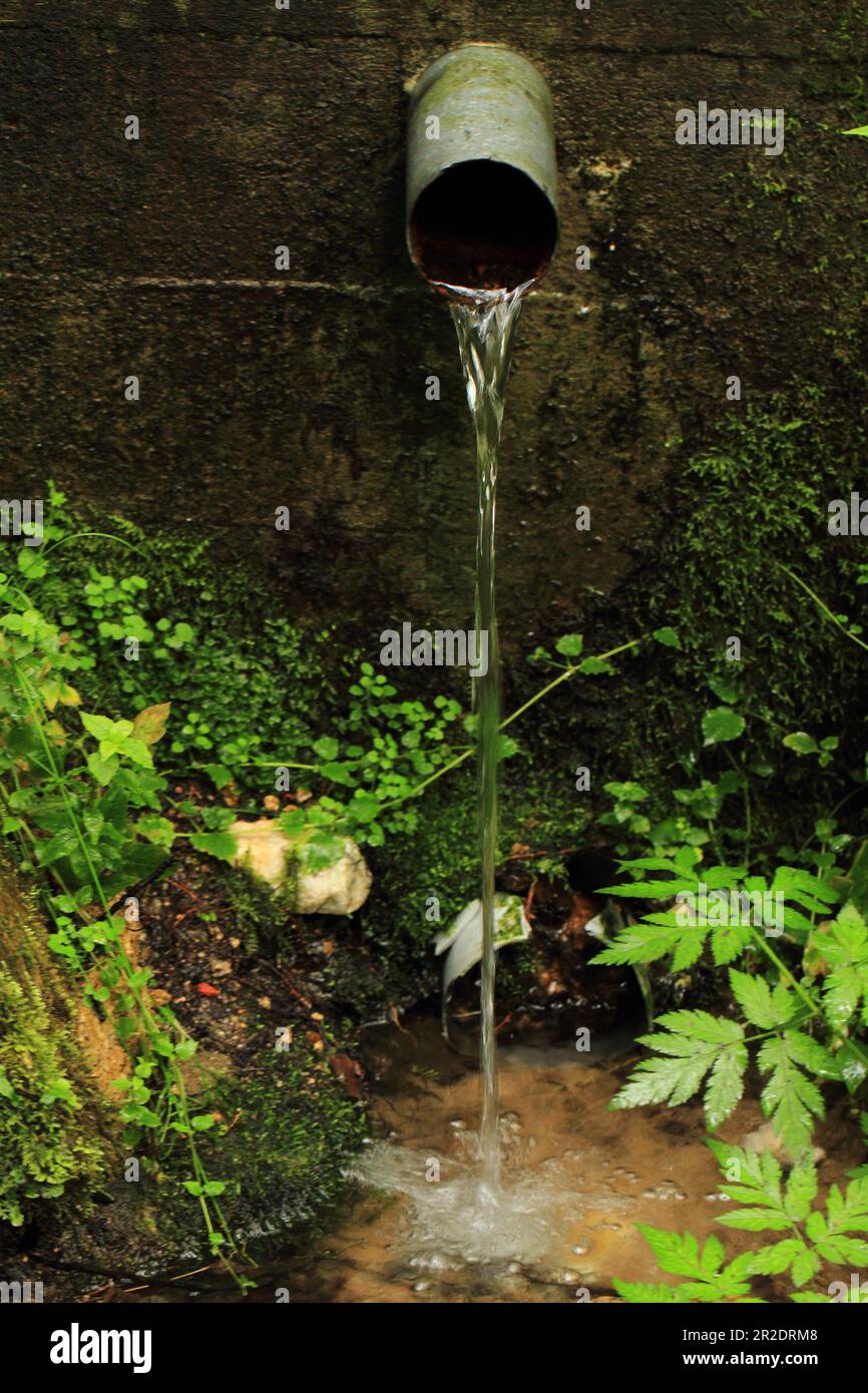 spring of water in the deep czech forest Stock Photo - Alamy