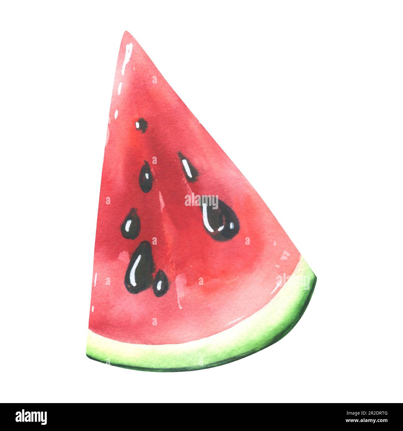 Watermelon piece small. Watercolor illustration. isolated object from ...