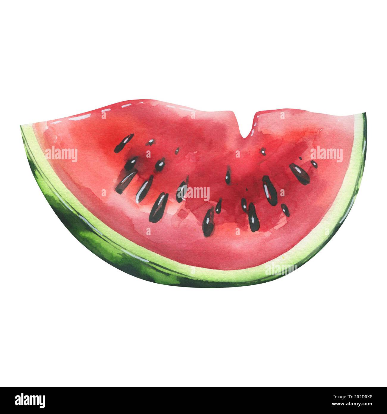 Watermelon piece big. Watercolor illustration. isolated object from the ...