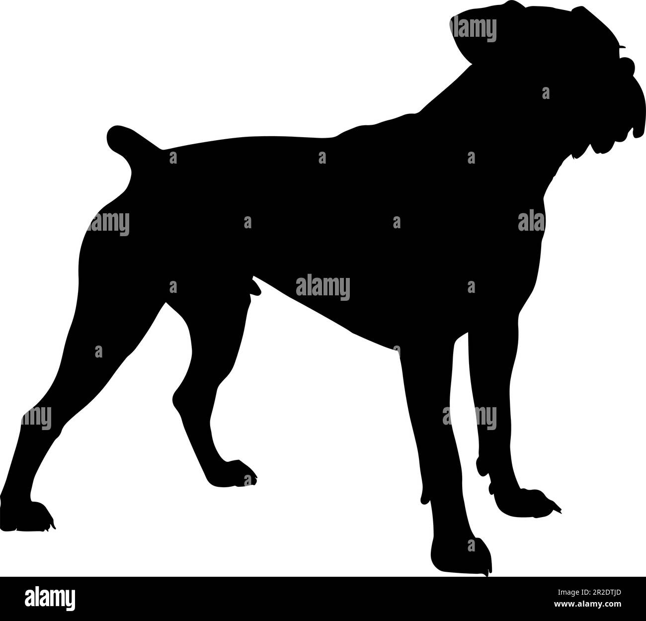 Boxer dog silhouette isolated on a white background. Vector ...