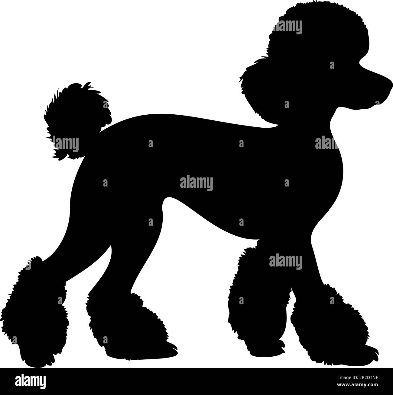Poodle Silhouette Images