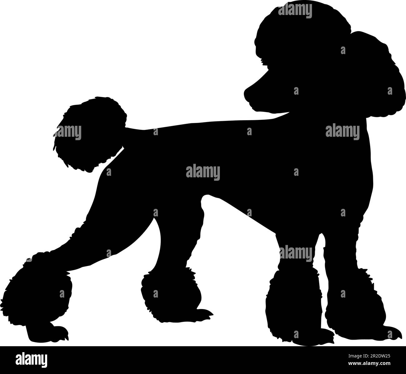 Poodle dog silhouette isolated on a white background. Vector ...