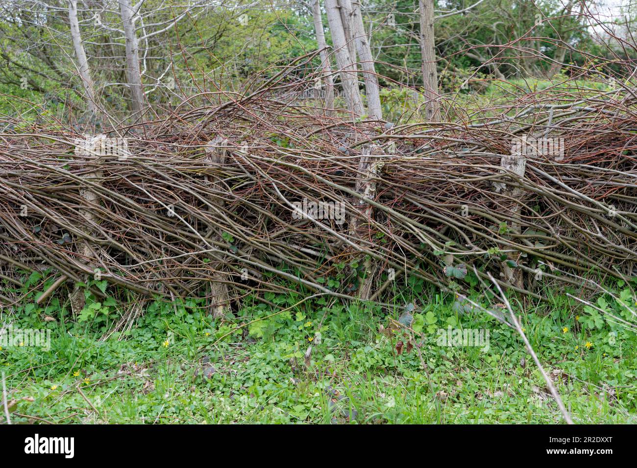 Willow fence hi-res stock photography and images - Alamy