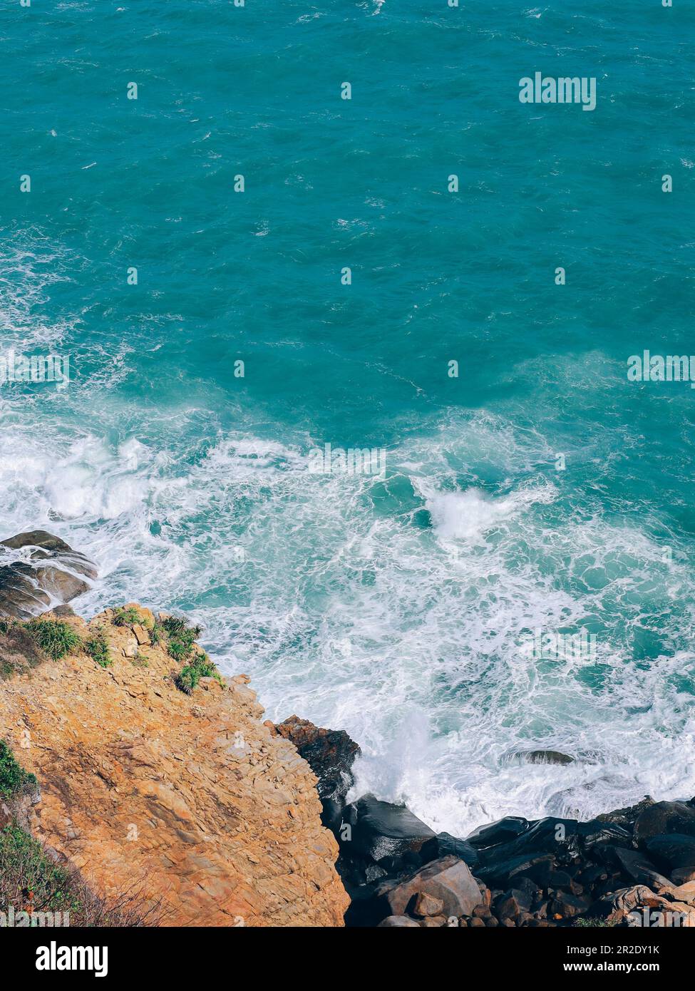 Protecttheocean hi-res stock photography and images - Alamy