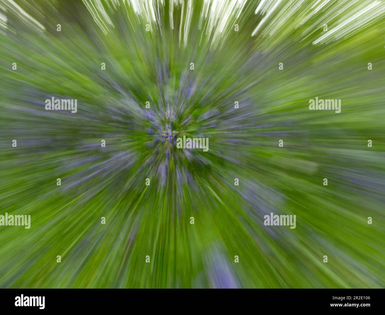 Icm intentional camera movement hi-res stock photography and images - Alamy