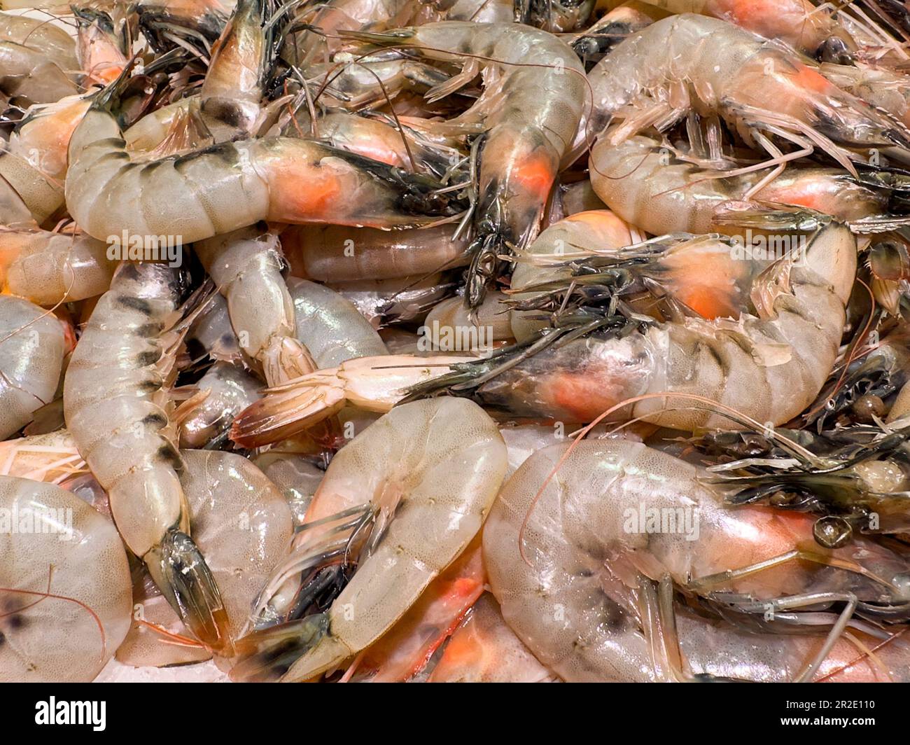Shrimp prawn seafood hi-res stock photography and images - Alamy
