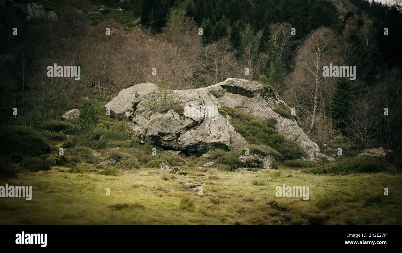 Midgard earth hi-res stock photography and images - Alamy