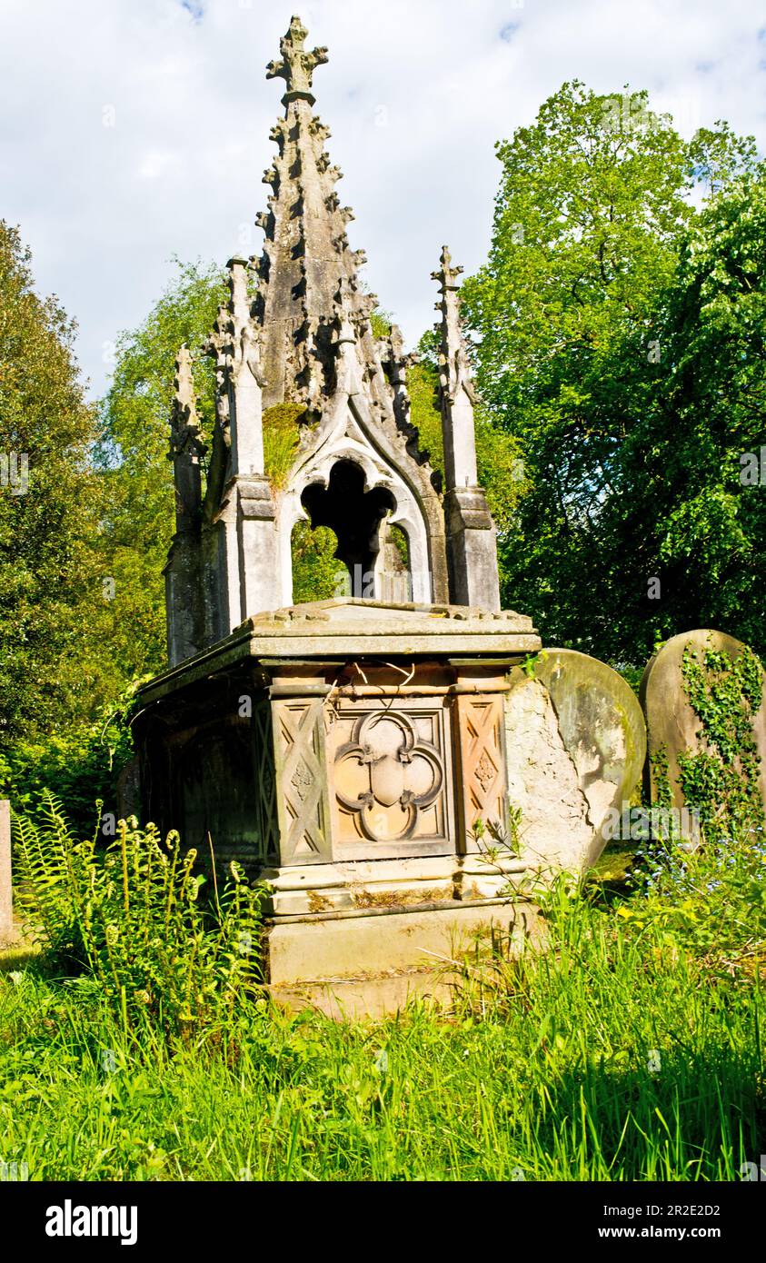 Wildlife cemetery hi-res stock photography and images - Alamy