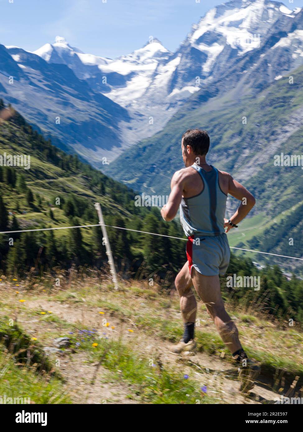 Trail runner competing in the Sierre Zinal mountain marathon, held ...