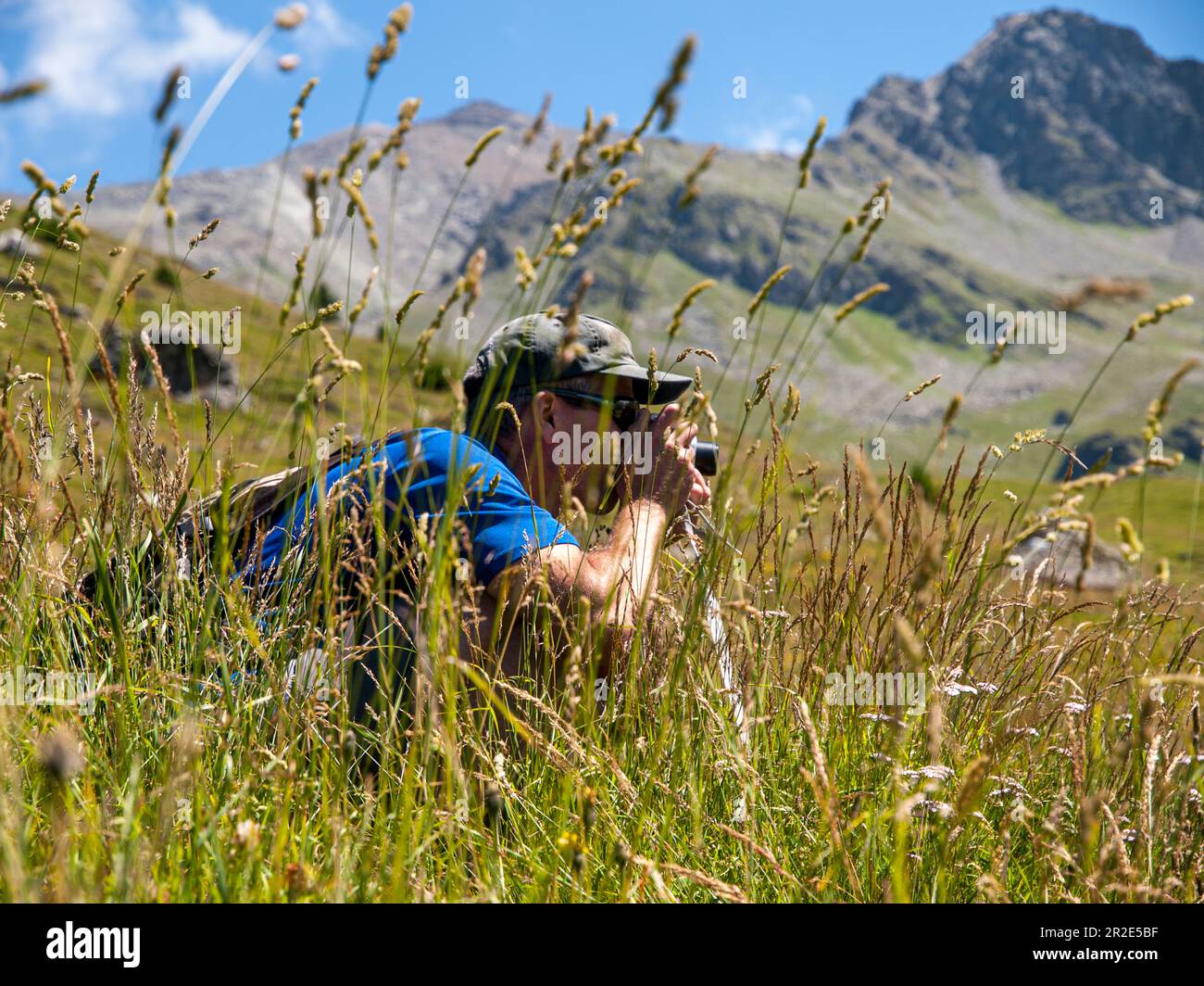 A man hides in the long grass of a mountain meadow with a camera ...
