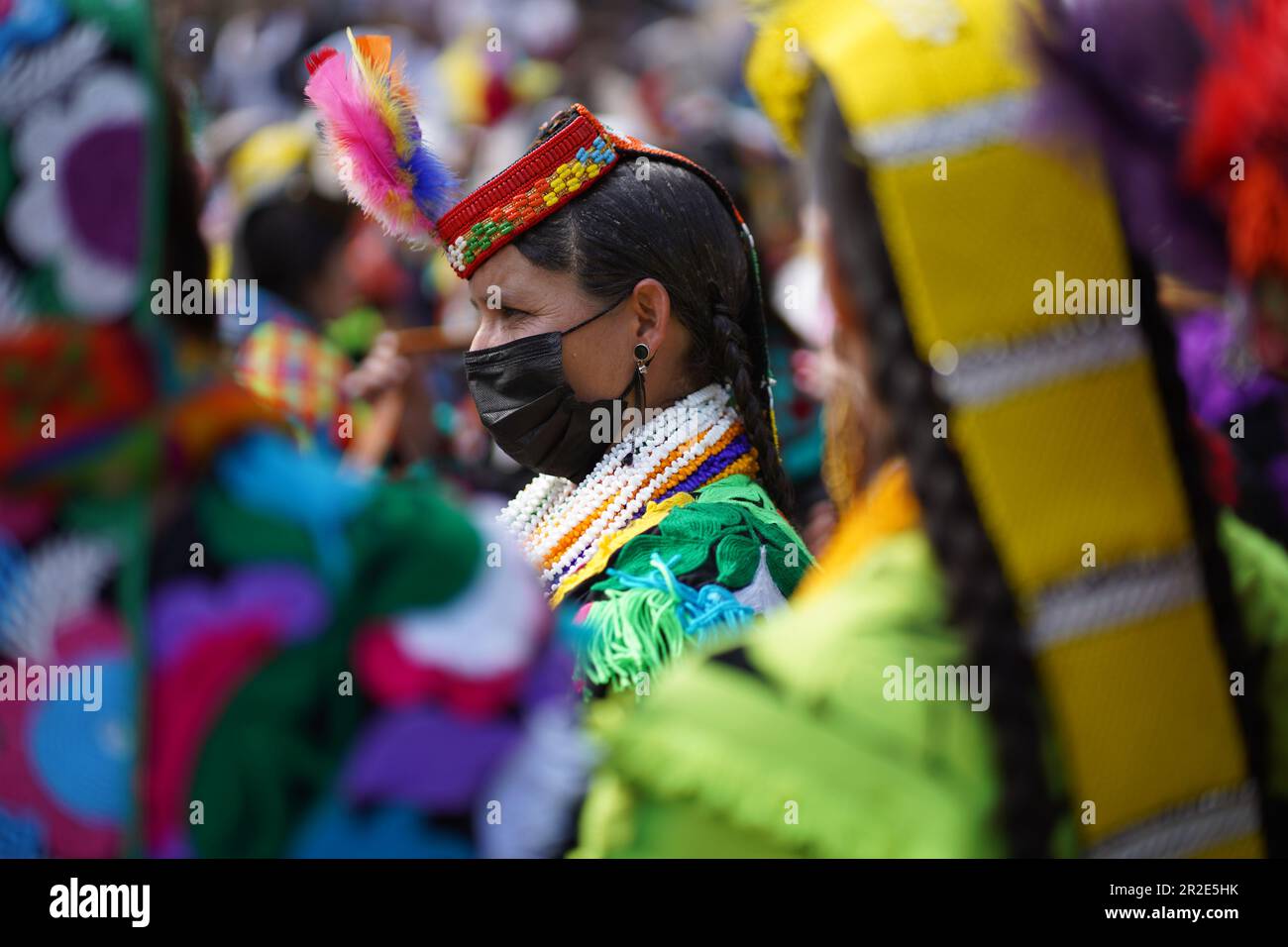 Immerse yourself in the captivating rhythms and vibrant colors of the ...