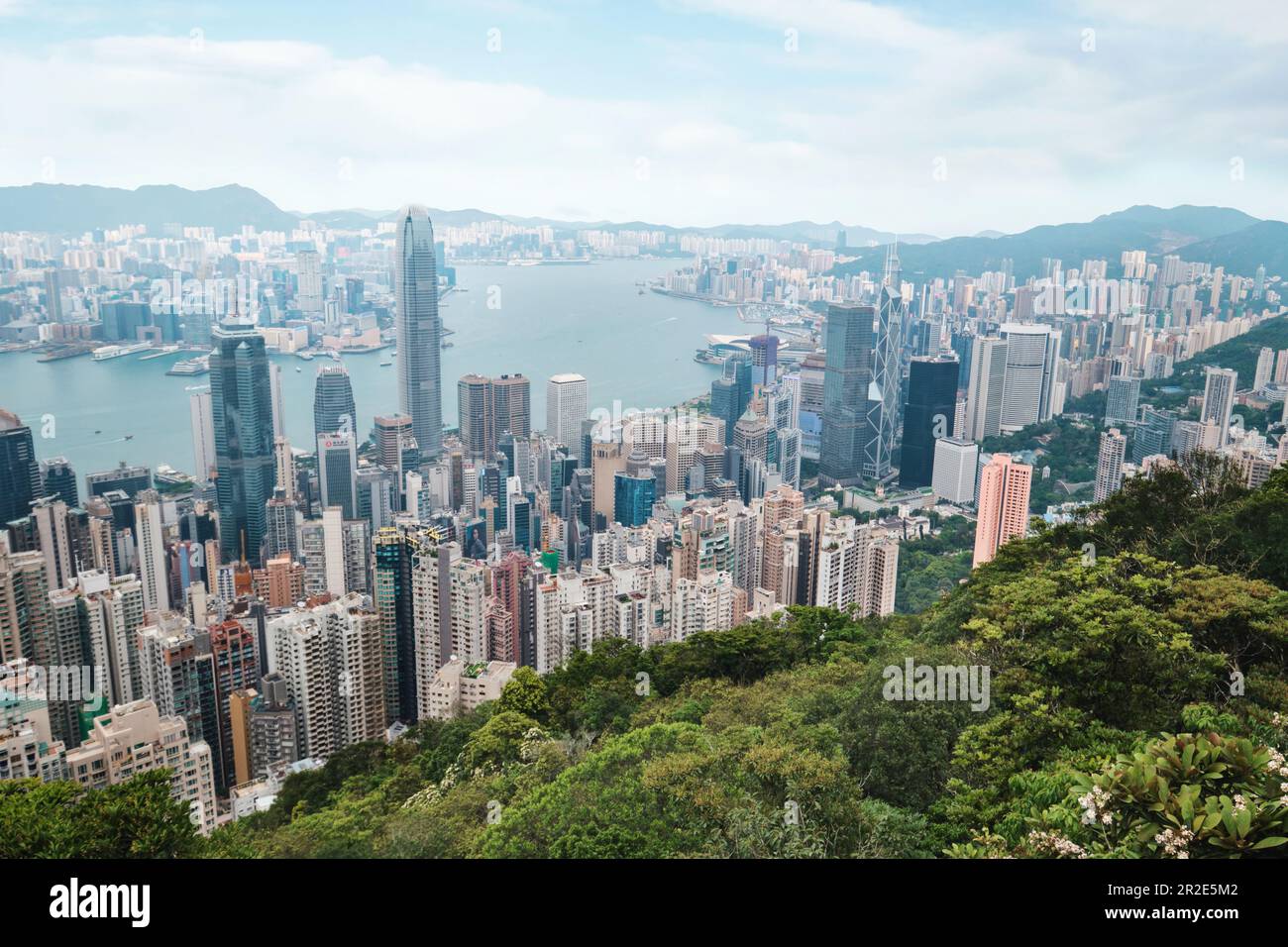 Forest settlement with high rise building hi-res stock photography and ...
