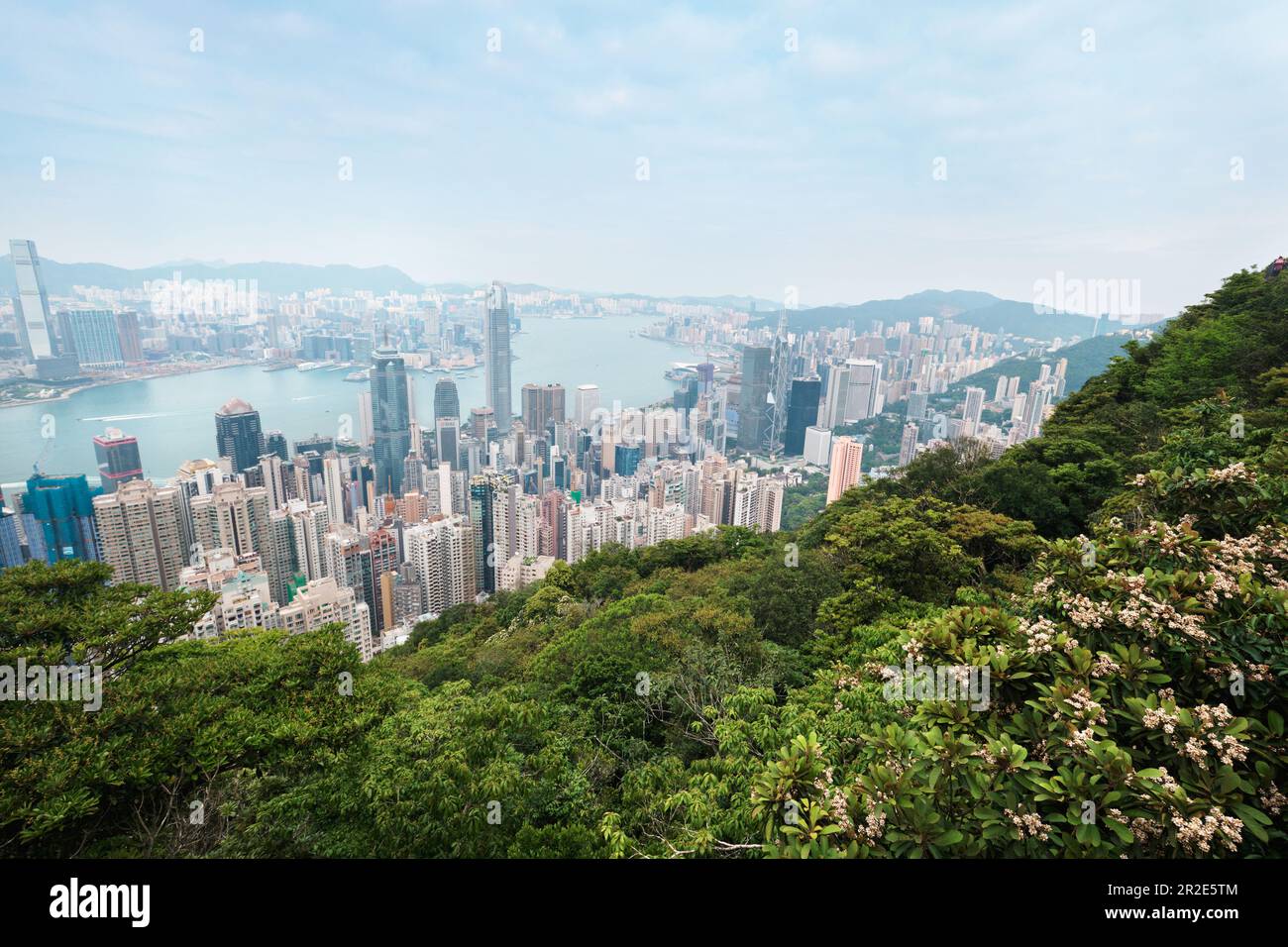 Hong Kong SAR, China - April 2023: Cityscape skyline seen from Lugard ...