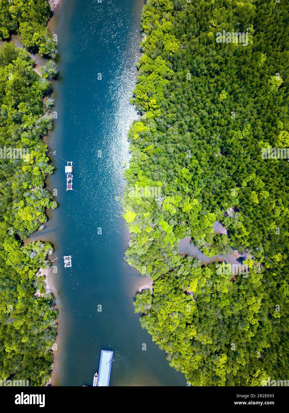 Aerial view of a huge mangrove forest and towering limestone pinnacles ...