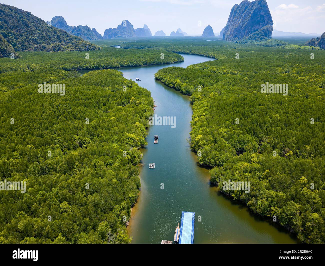 Small jetty in the middle of a huge mangrove forest with limestone ...