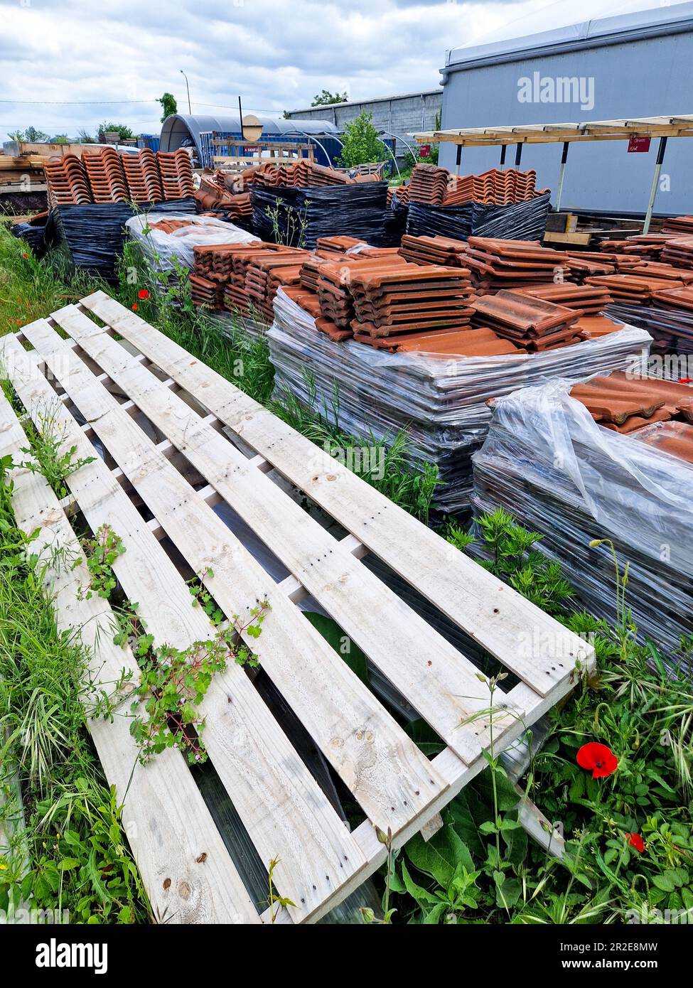 Excluding like demonstrate MYSELF want preserve i inbound their ...