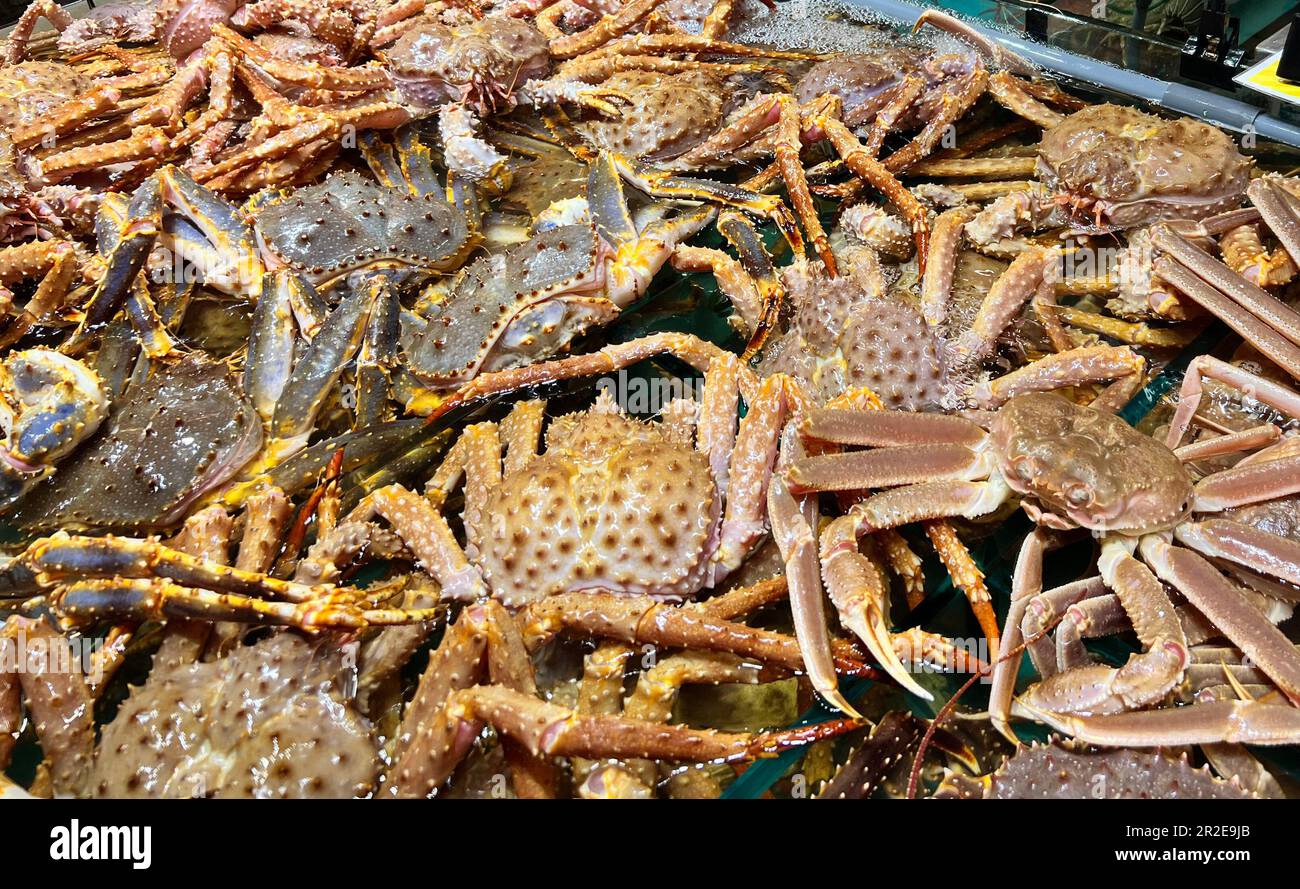 tank is full of living red king crabs and opilio crab Stock Photo - Alamy