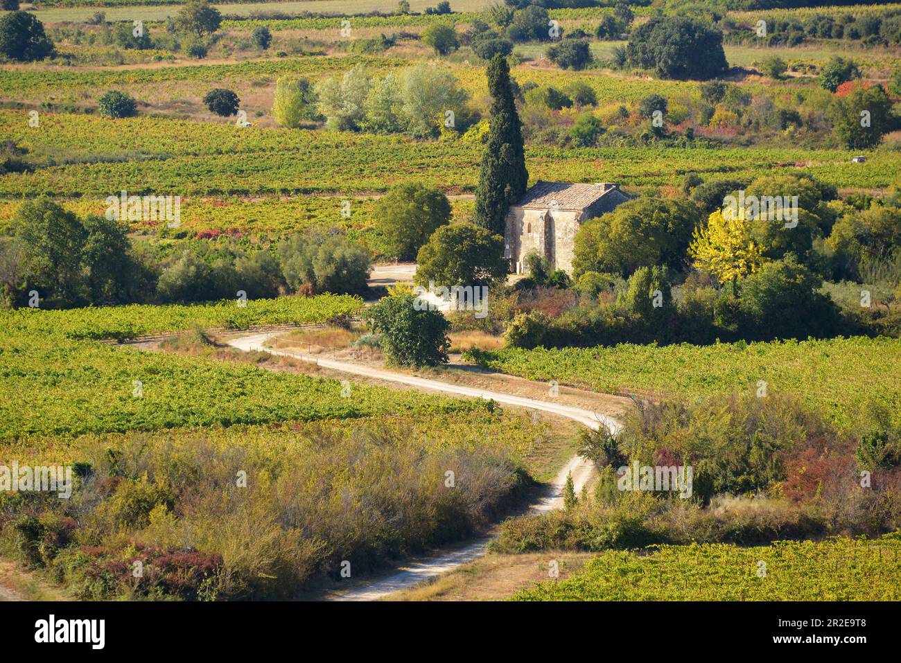Typical landscape of Gard in Provence Stock Photo - Alamy