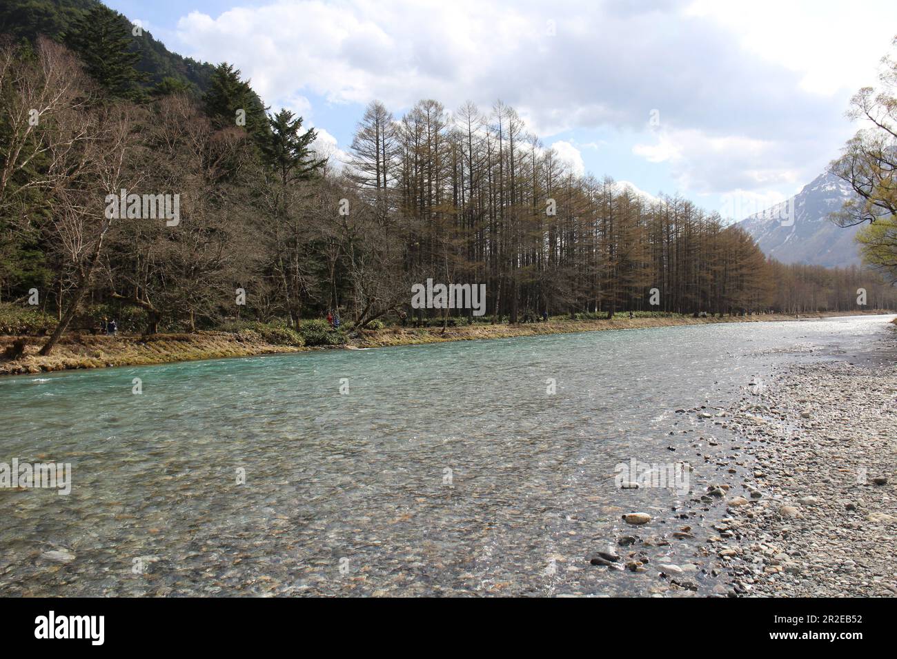 The clear Azusa River in Kamikochi, Japan Stock Photo - Alamy