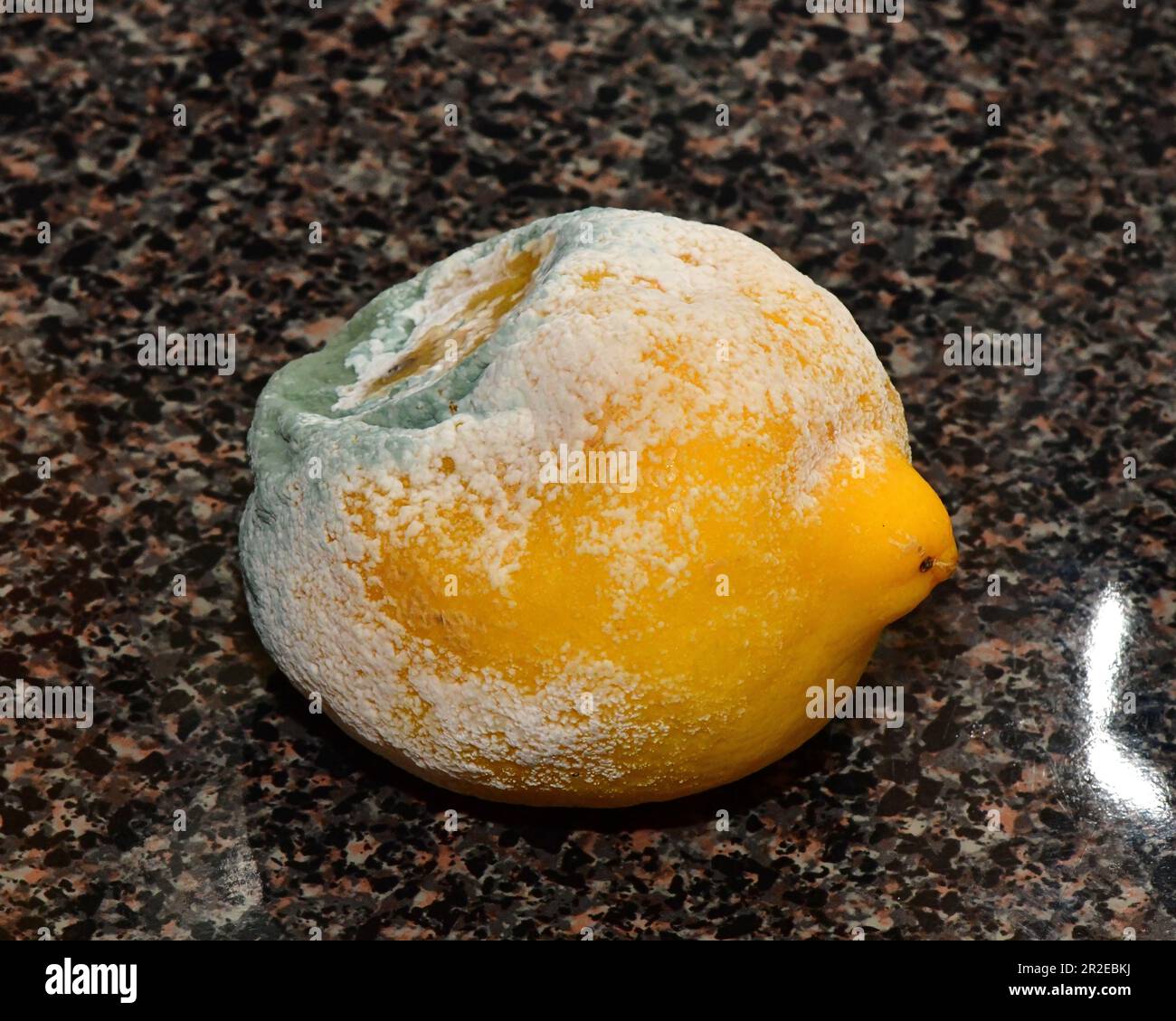 Penicillin shot hi-res stock photography and images - Alamy