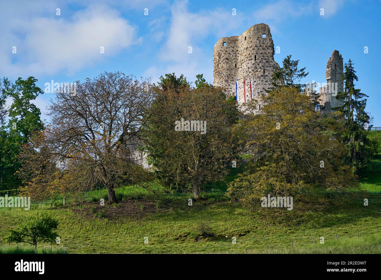 The Pfeffingen castle ruins tower high above the village of the same ...