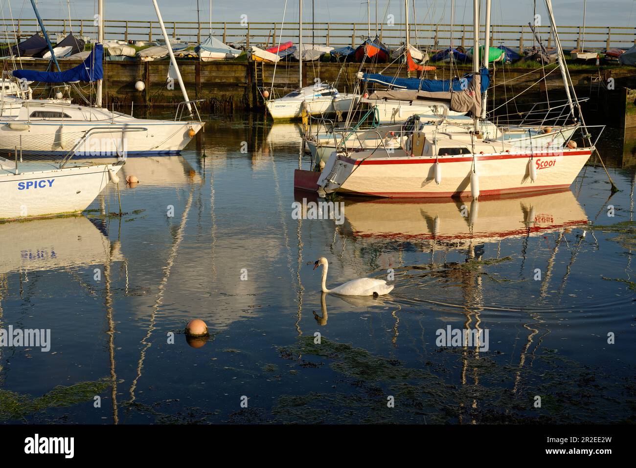 Mouth of the river meon hi-res stock photography and images - Alamy