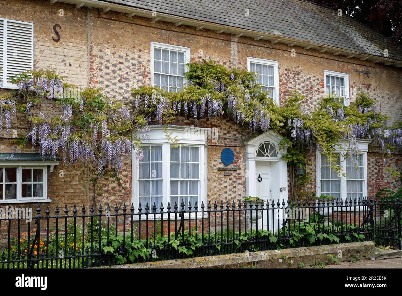 England in the Spring. Wysteria in full bloom. Houses in the village of ...