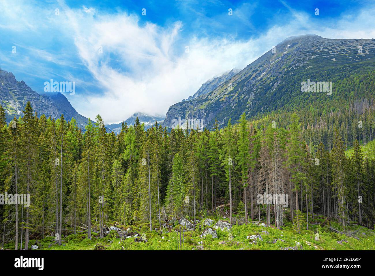 High Tatras, Slovak Republic, Europe Stock Photo - Alamy