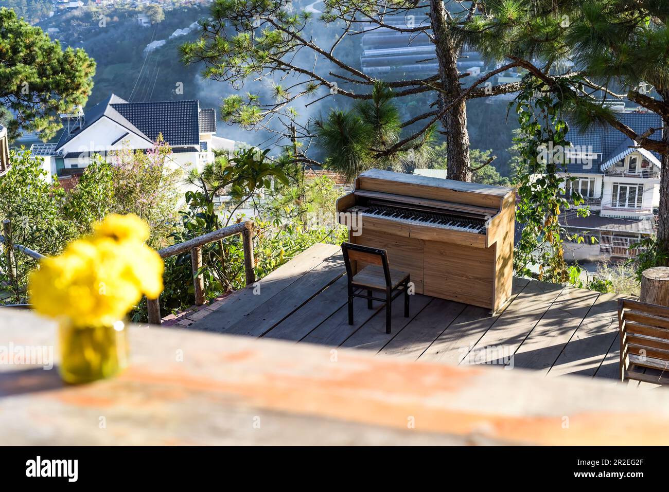 Piano under a pine tree in under sun beams in the city of Da Lat in ...