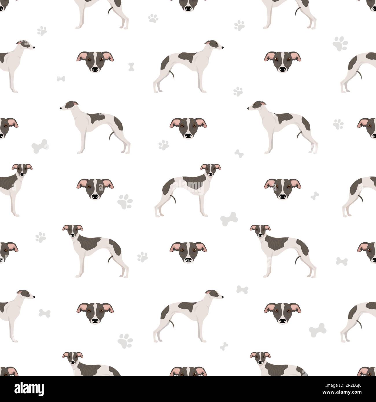 Whippet clipart hi-res stock photography and images - Alamy