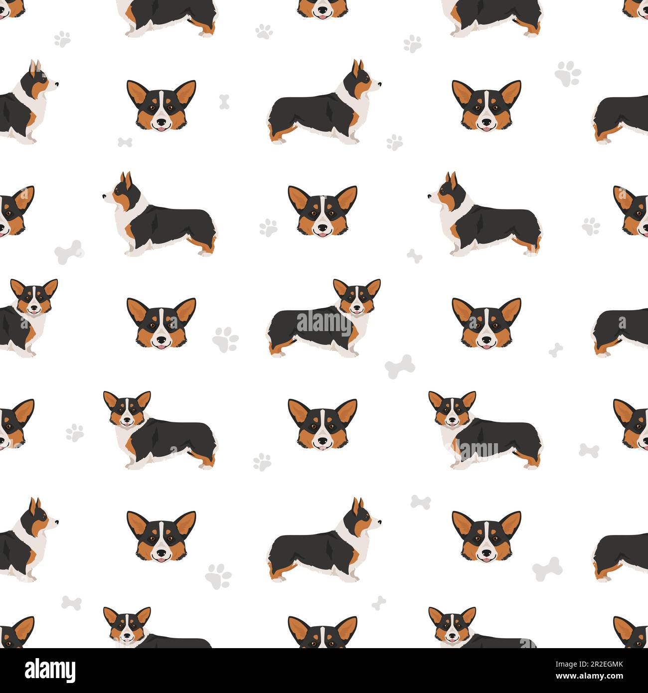 Welsh Corgi Pembroke seamless pattern. All coat colors set. All dog ...