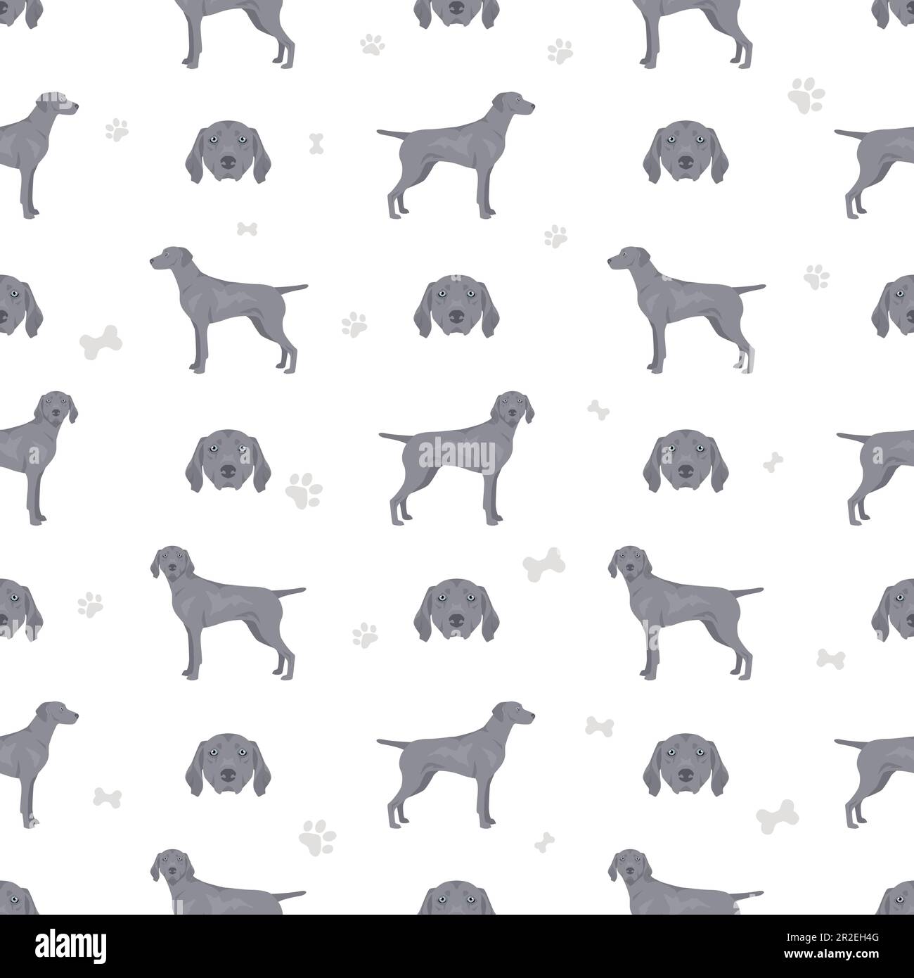 Weimaraner shorthaired dog seamless pattern. All coat colors set. All ...