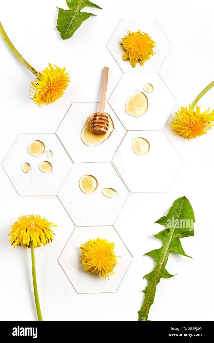 Dandelion yellow honey drop and stick with dandelion flowers on white ...