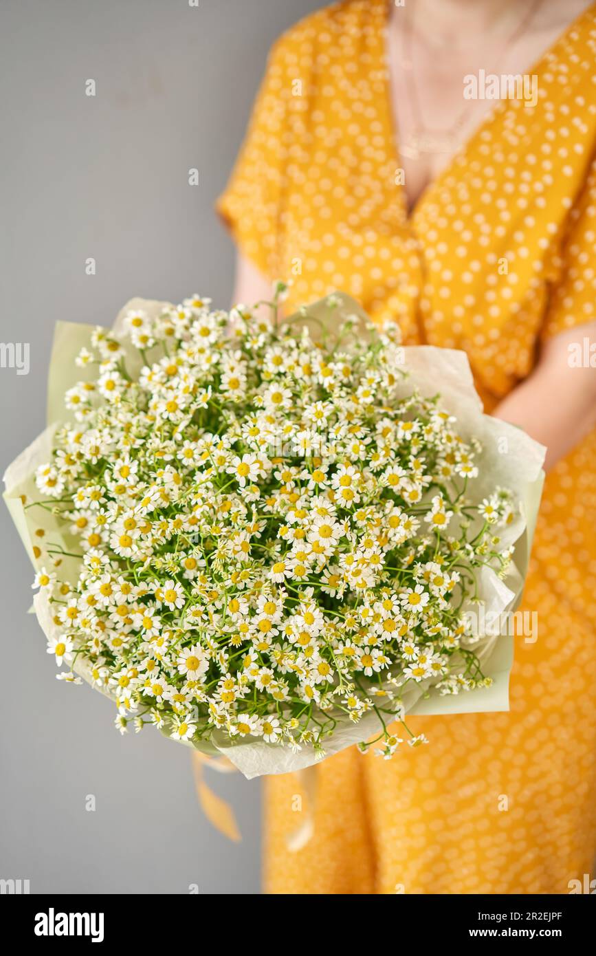 Beautiful bouquet of daisies flowers in woman hand. Floral shop concept ...