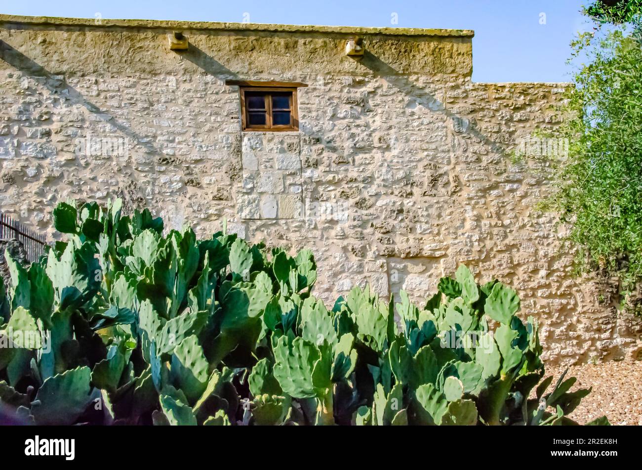 The Battle of the Alamo was pivotal in the Texas Revolution Stock Photo ...