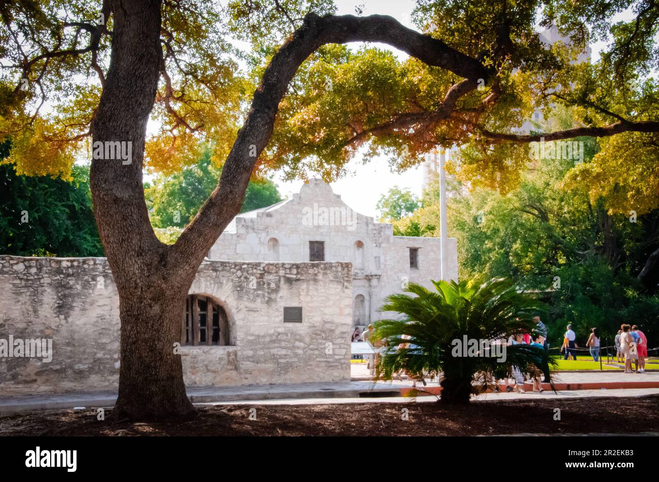 The Battle of the Alamo was pivotal in the Texas Revolution Stock Photo ...