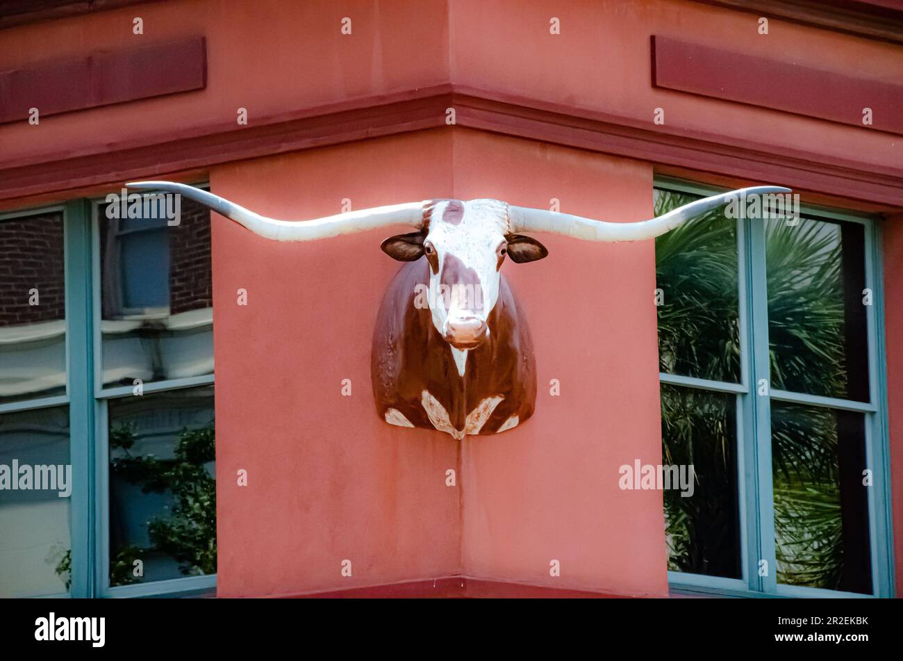 A Texas Longhorn hangs on the outside of a Riverwalk building, close to ...