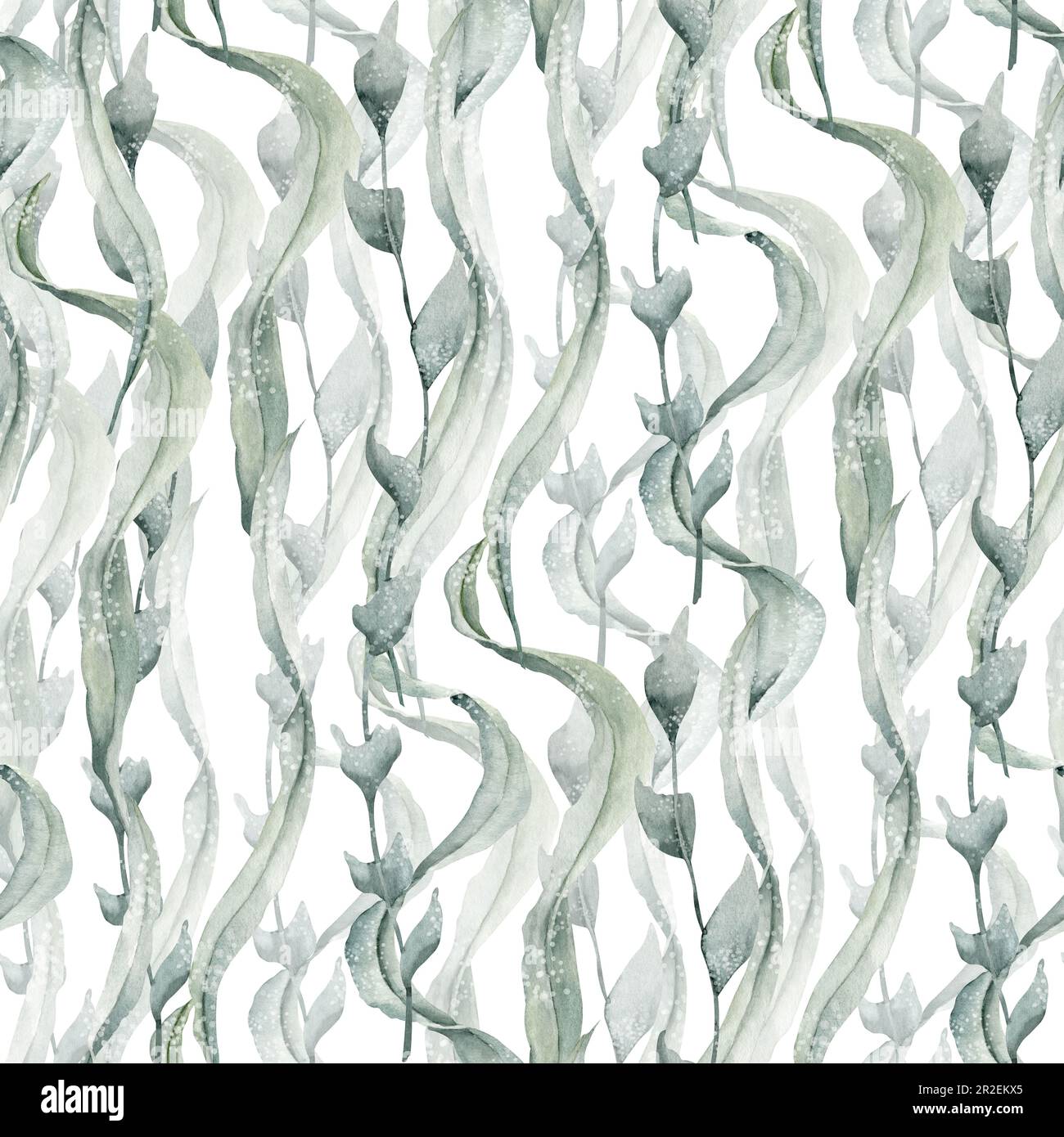 Seaweed seamless Pattern with green Laminaria and Algae. Hand drawn ...