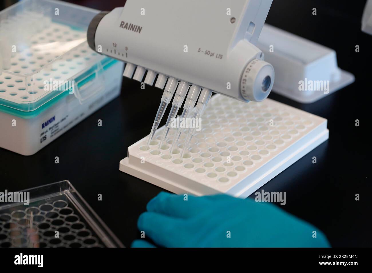 Daphne Ma, research scientist in&the microbiology group, performs an ...