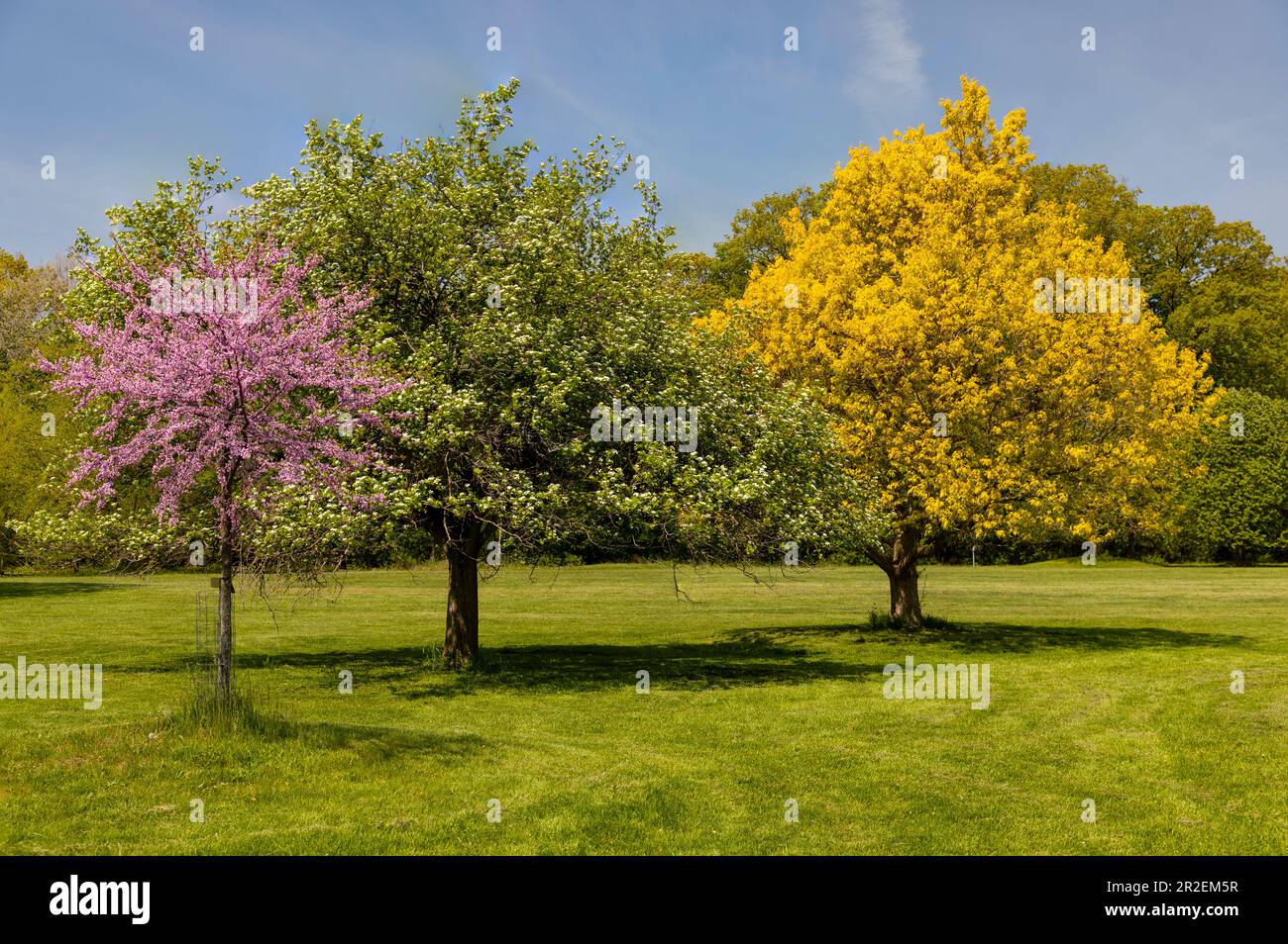 Royal Botanical Gardens Arboretum Hamilton Ontario Canada. (Eastern ...