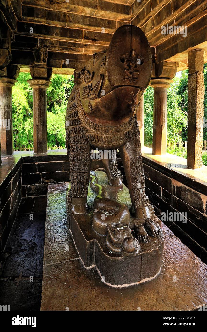 Sandstone image of Varaha {boar) incarnation of Hindu God Vishnu in ...
