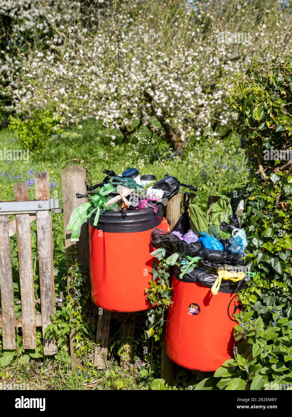 A litter bin overflowing with dog poo bags in the grounds of Blickling ...
