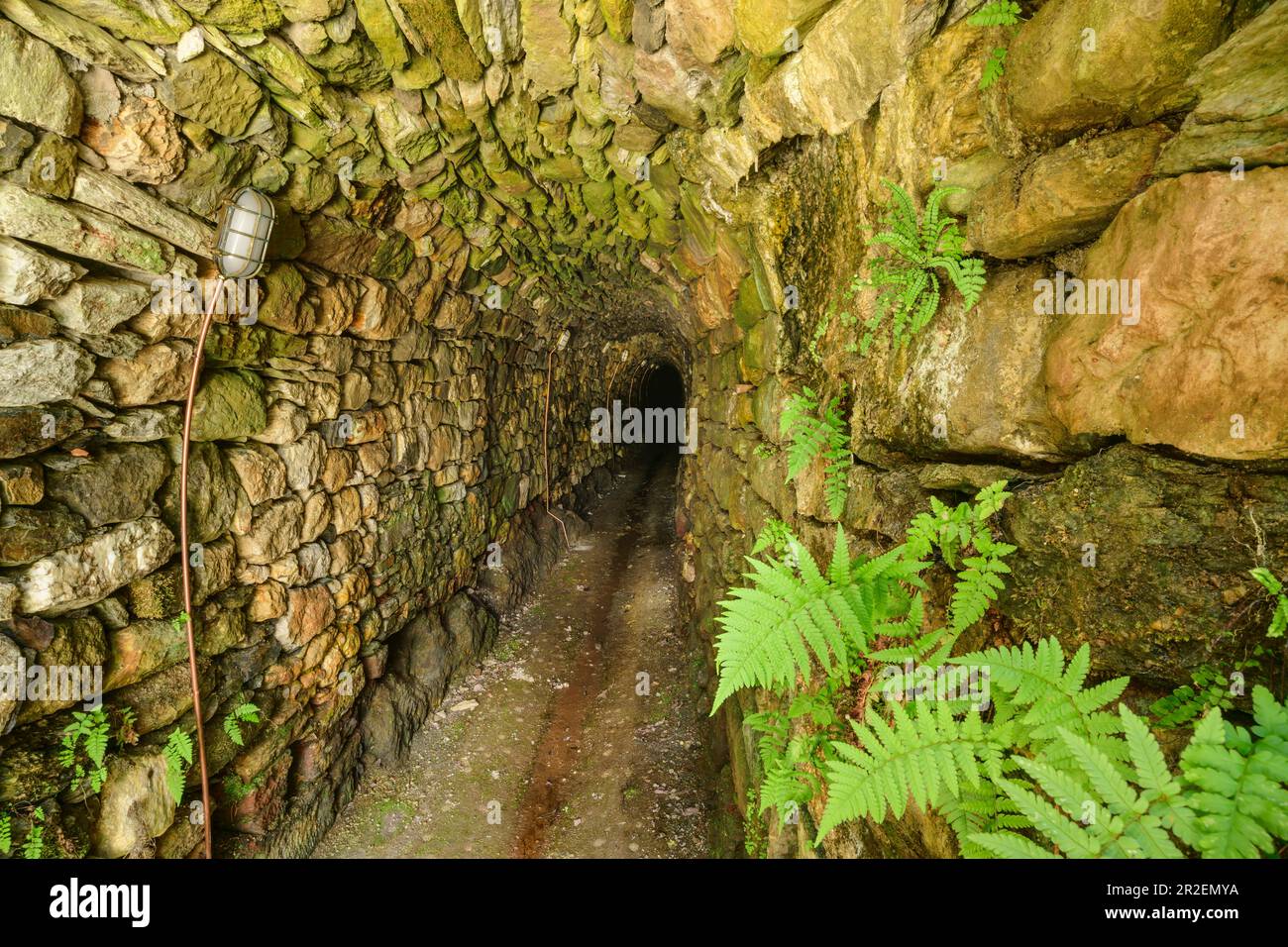Old mine tunnel, Galeria St. Barbara, Barbarastollen, Centro Minerario ...
