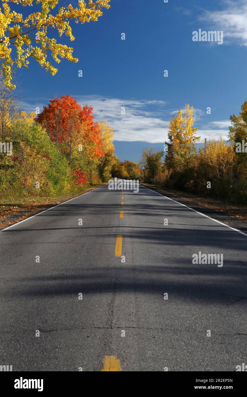 Country road in autumn Stock Photo - Alamy