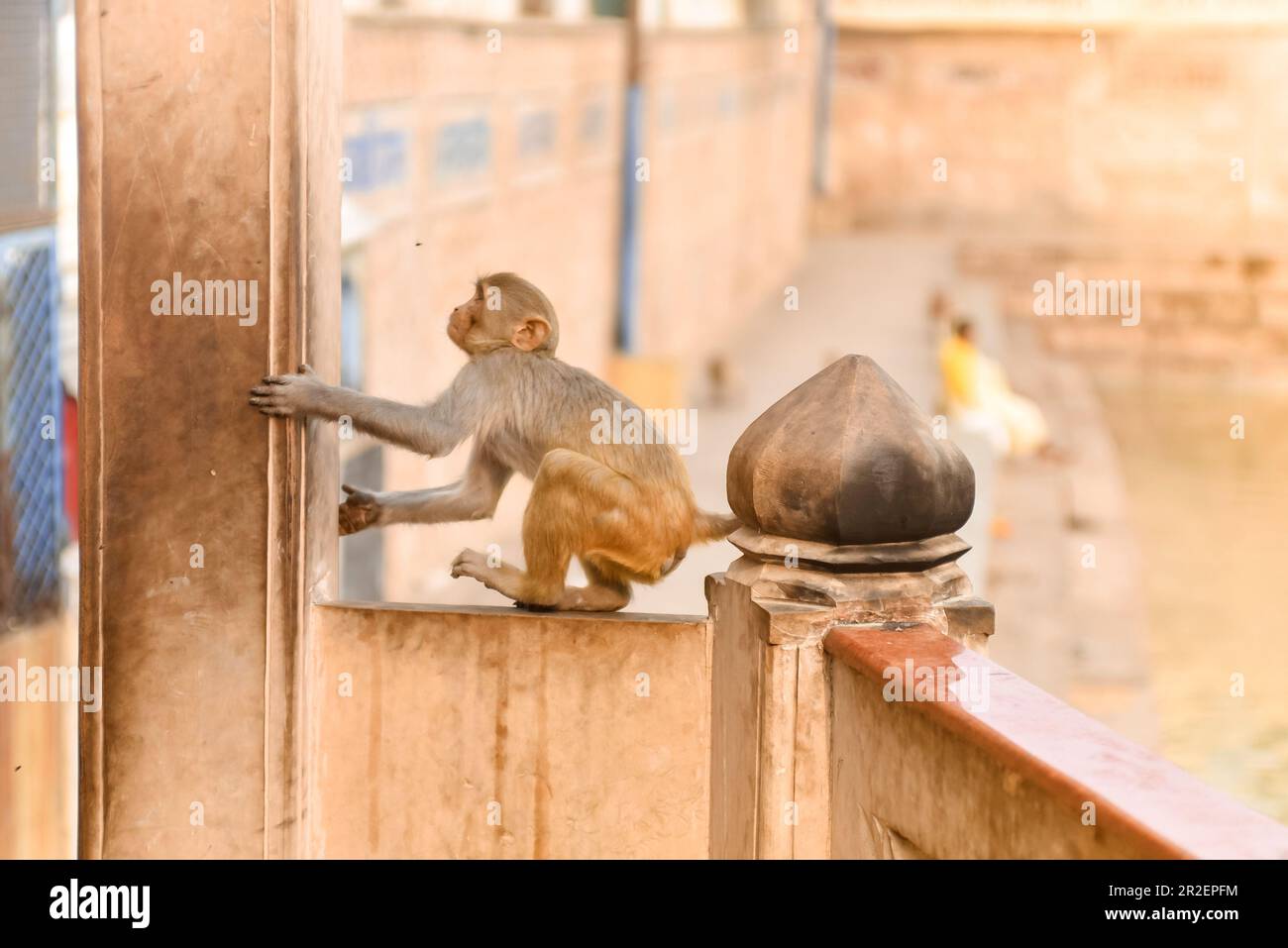 Radhakund hi-res stock photography and images - Alamy
