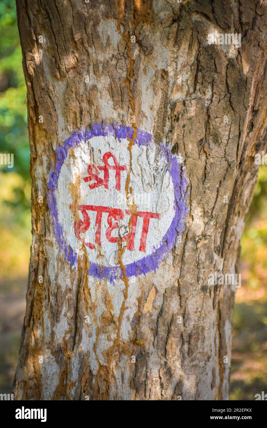 2019, Govardhan, Vrindavan, Uttar Pradesh, India, The name of the deity ...