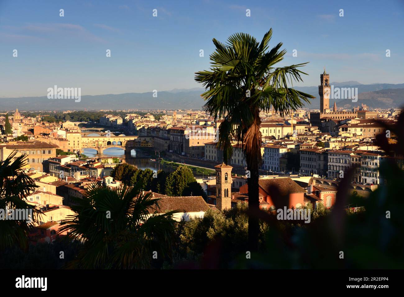 View with palm trees from Piazza Michelangelo on Florence, Toscana ...