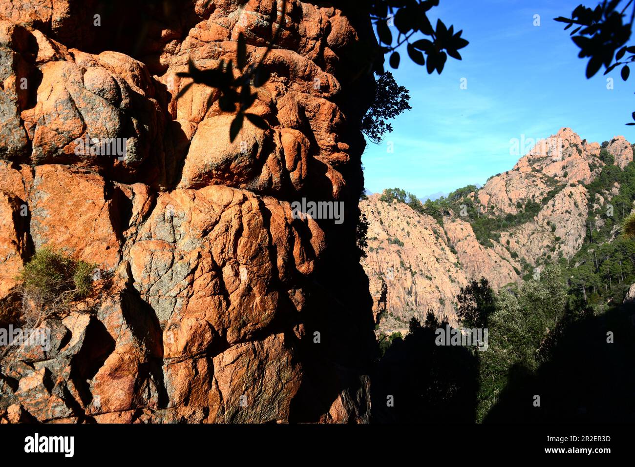 reddish rocks in les Calanche on the gulf of Porto, western Corsica ...
