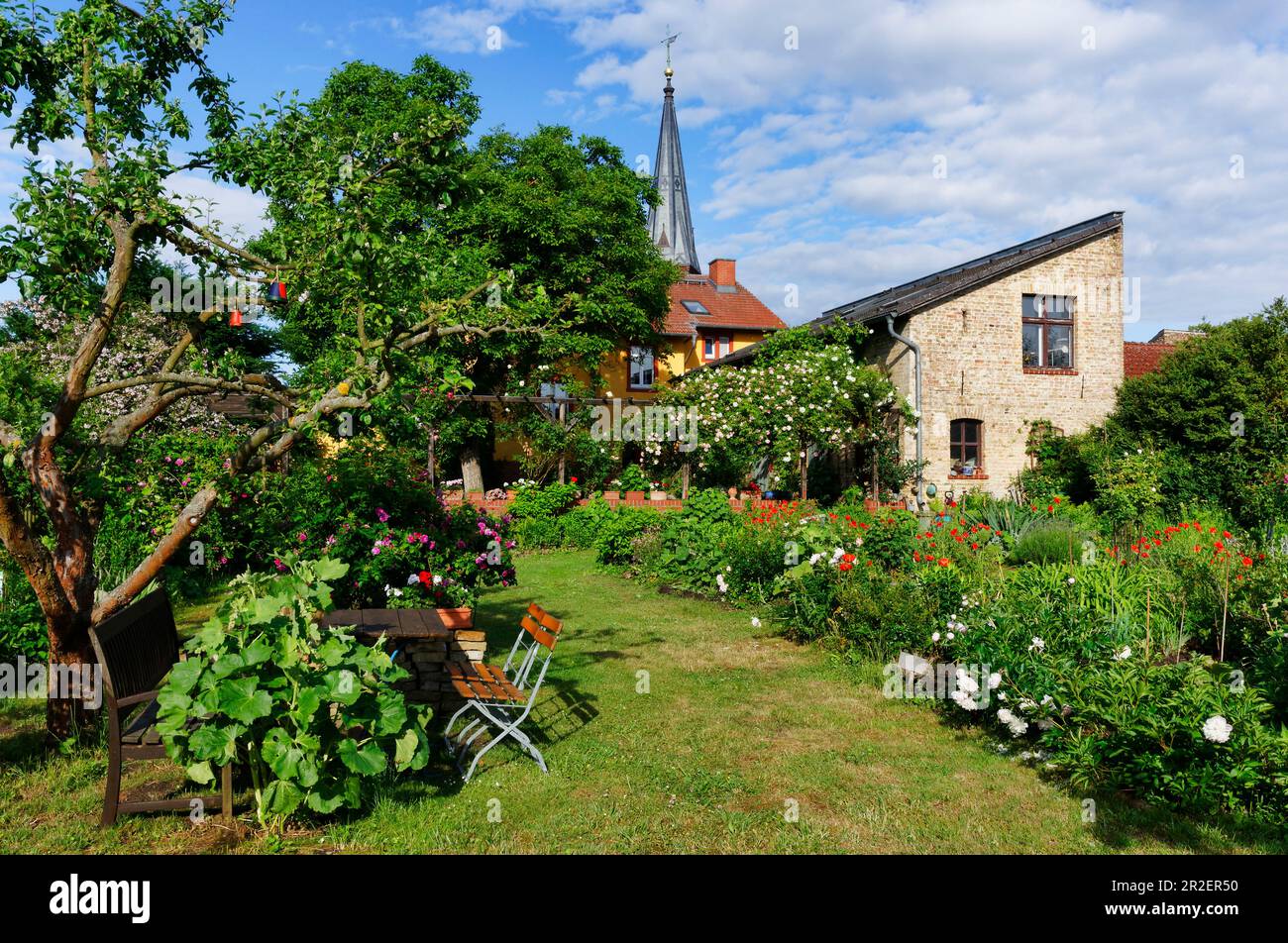 Garden in Geltow, municipality of Schwielowsee, Havelland, Brandenburg ...